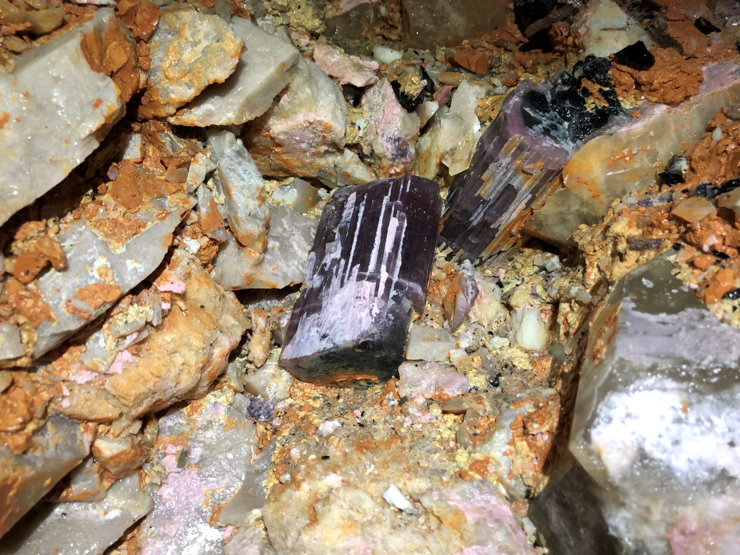 Fig. 1 - Gemworld International