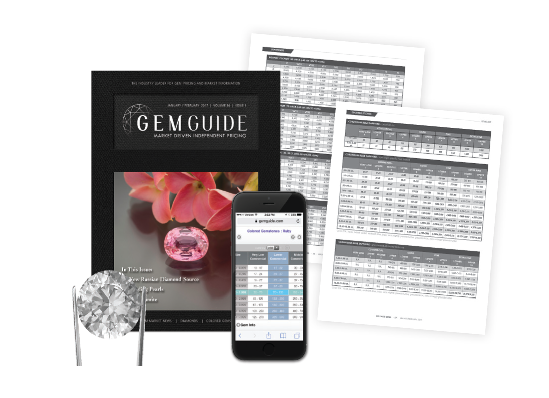 Membership Purchase - Gemworld International