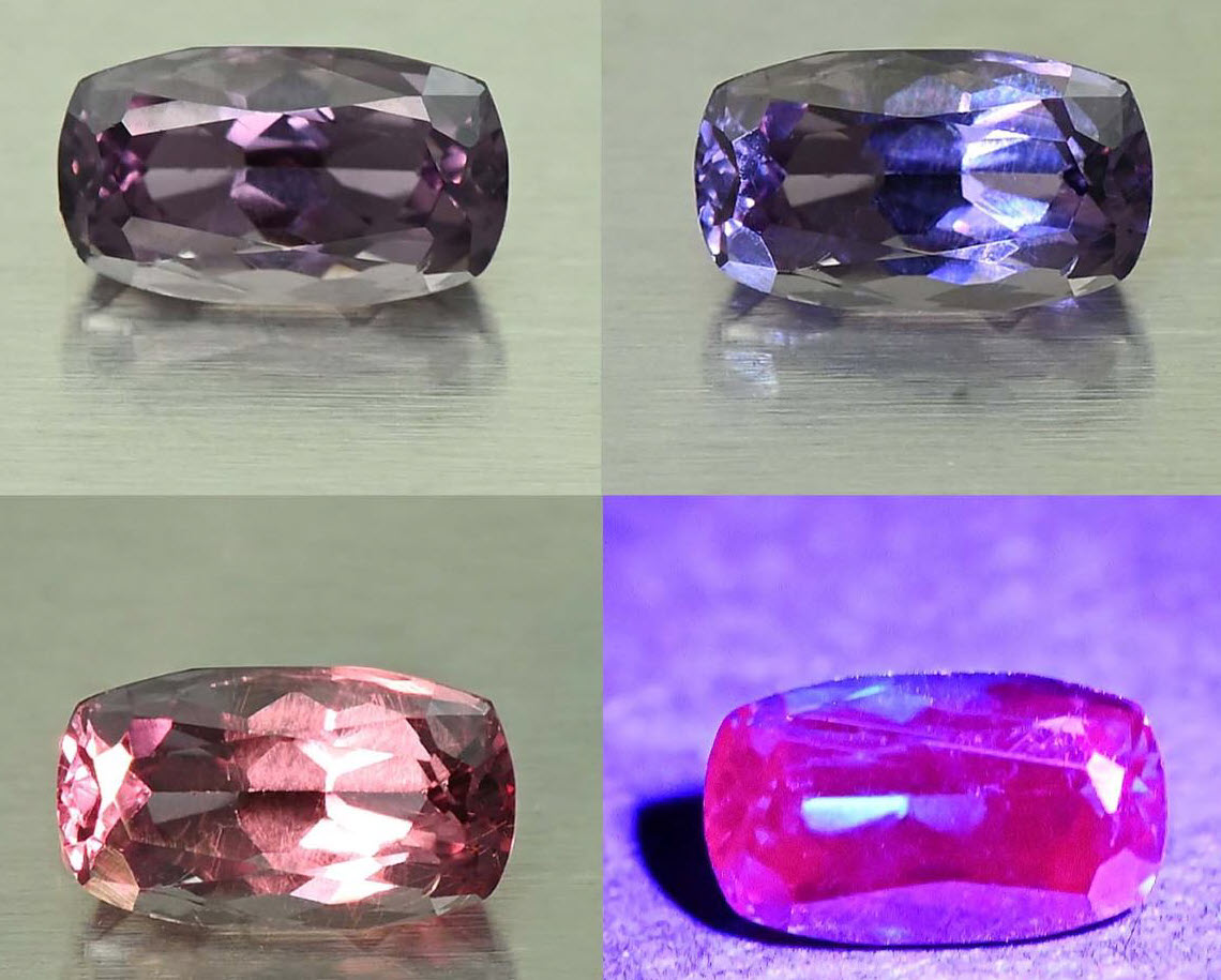 Interesting Finds at the Tucson Gem Shows - Gemworld International